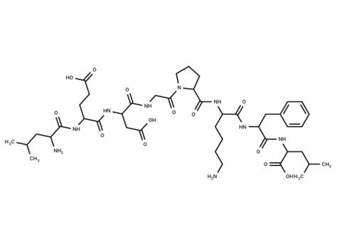 Eukaryotic Translation Elongation Factor 1 α 1 Eef1a1 387 394