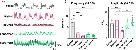 Effect Of Conductive Substrates On Cardiomyocytes Function A Calcium