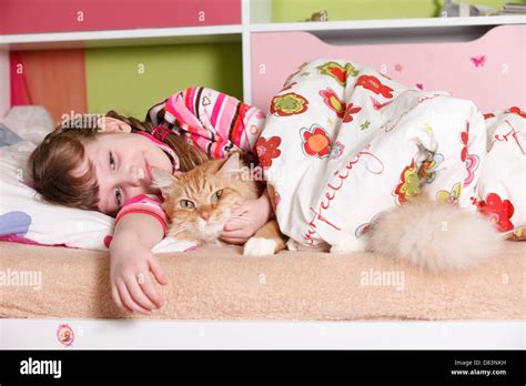 Girl With Siberian Cat Stock Photo Alamy
