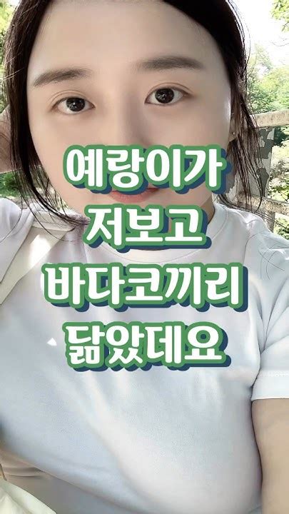 바다코끼리 닮았다는 말 들어보셨어요 Youtube