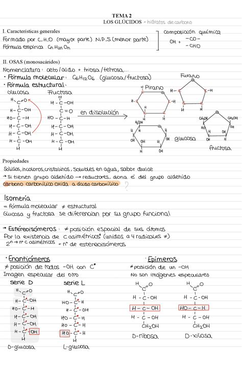 Tema 2 Glúcidos 2 Bachiller Apuntes De Biología Docsity