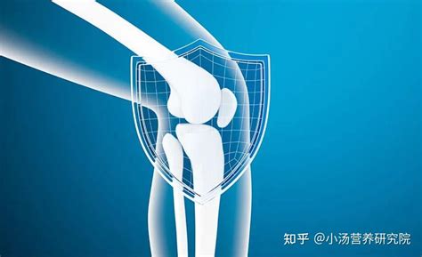 镁”那么简单？——一文读懂镁与人体健康 知乎