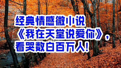 经典情感微小说 《我在天堂说爱你》，看哭数白百万人 情感故事 2023 Youtube