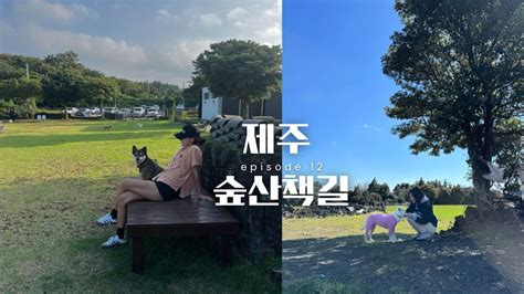 Jeju Vlog 제주에서 제일예쁜 비밀산책길 제주애견카페 아우아우강아지와 친구랑 함께하는 하루 Youtube