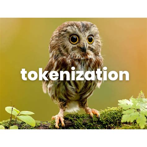 Owl Explains By Ava Labs 🔺 On Linkedin Tokenization Blockchains