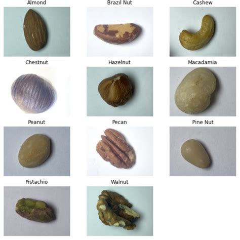 11 Common Nut Types For Image Classification Kaggle