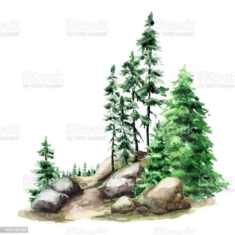 숲 풍경입니다 바위와 전나무 사이의 경로 흰색 배경에 격리된 손으로 그린 수채화 그림 0명에 대한 스톡 벡터 아트 및 기타
