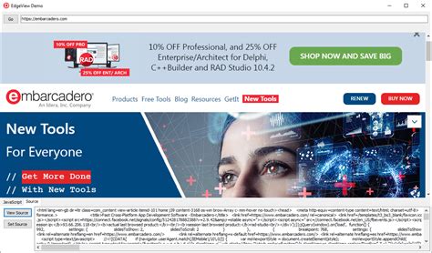 Browsing In A Windows Application From Internet Explorer To Webview 2