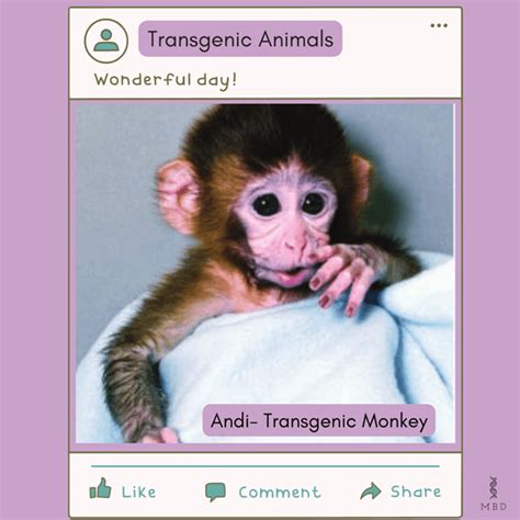 Can We Create A Unicorn By Dna Manipulation My Biology Dictionary