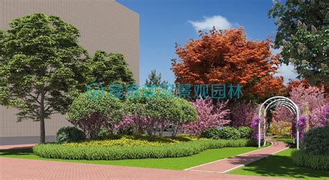 临沂小区绿化设计 山东晟维建筑景观设计有限公司