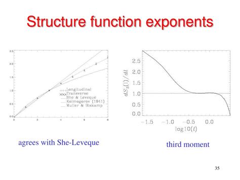 Ppt How Long Can Left And Right Handed Life Forms Coexist Powerpoint