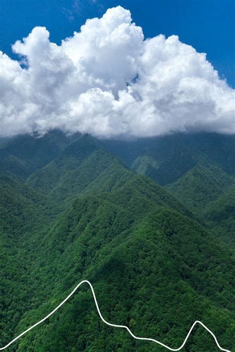 都市人心中的「乡野乌托邦」，是什么样的？ 知乎