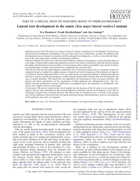 Pdf Lateral Root Development In The Maize Zea Mays Lateral
