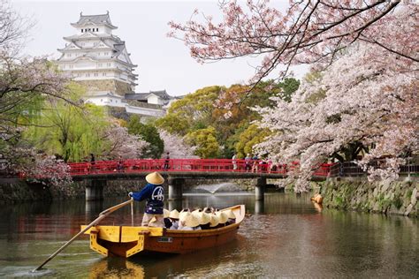 姫路城の桜 By Ibex （id：8603127） 写真共有サイトphotohito