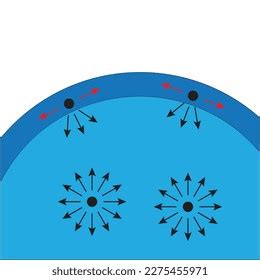 Cohesion Of Water Diagram