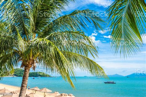 푸른 하늘과 흰색 구름에 코코넛 야자수와 우산과 의자가있는 아름다운 열대 해변 바다와 바다 0명에 대한 스톡 사진 및 기타