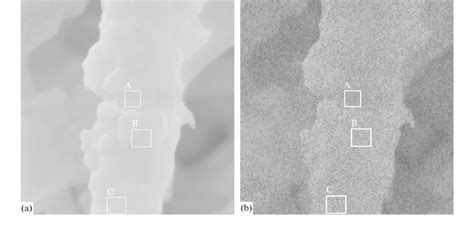 A SEM Image Of An Individual PVDF TiO 2 Nanofiber B Elemental