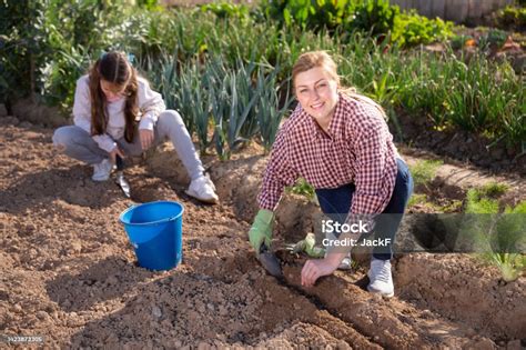 여자 정원사 와 어린 소녀 심기 묘목 십대에 대한 스톡 사진 및 기타 이미지 십대 원조 2명 Istock