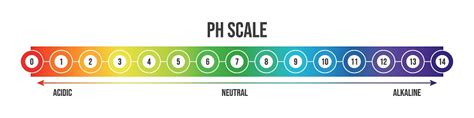 흰색 배경에서 분리된 Ph 스케일의 벡터 일러스트레이션 색상 Ph 값 척도 차트 미터 인포 그래픽 산 알칼리성 용액에 대한