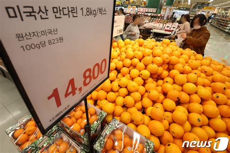 감귤 대신 구매하는 미국산 만다린
