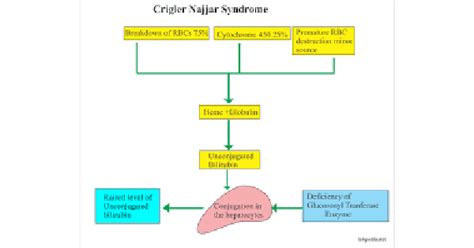 Criggler Najjar Syndrome New