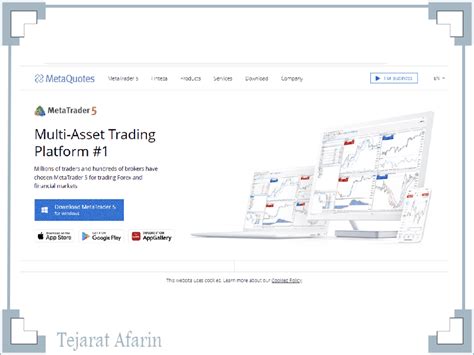 متاتریدر یا سی تریدر MetaTrader vs cTrader