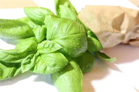 Basilico Il Tocco Fresco In Cucina Le Ricette Di Giallozafferano