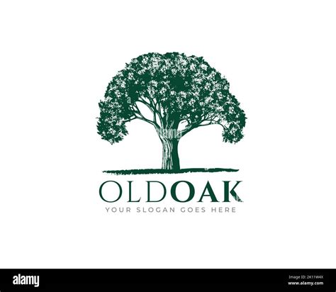 Vintage Oak Tree Vector