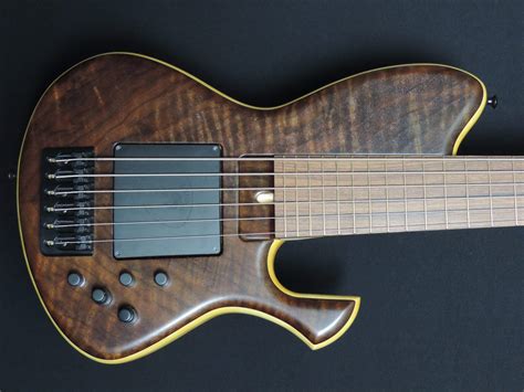 Hollow Or Semihollow 6 String Basses Page 3