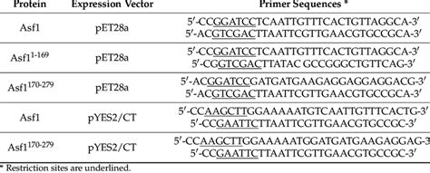 Primer Pairs Used In This Study Download Scientific Diagram