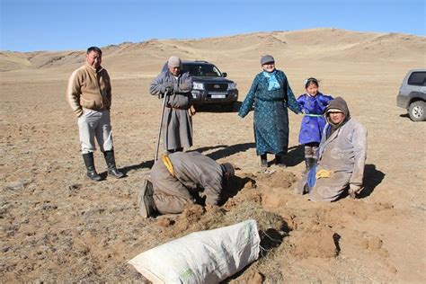 Завхан аймагт үлийн цагаан оготнотой тэмцэх аян Цагаанчулуут сумаас 2014 оны 11 р сарын 05 ны