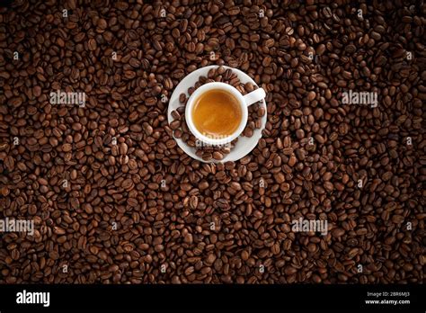 Small White Cup Of Frothy Hot Strong Espresso Coffee Nestling On A