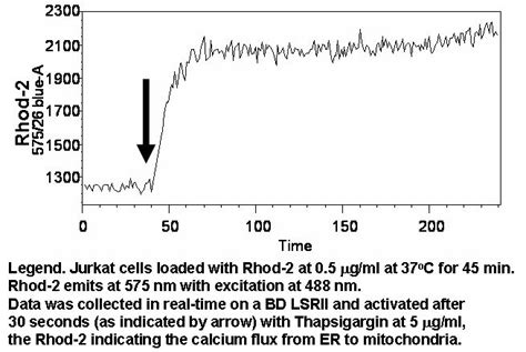 Calcium Flux And Functional Analysis Flow Cytometry Core Facility