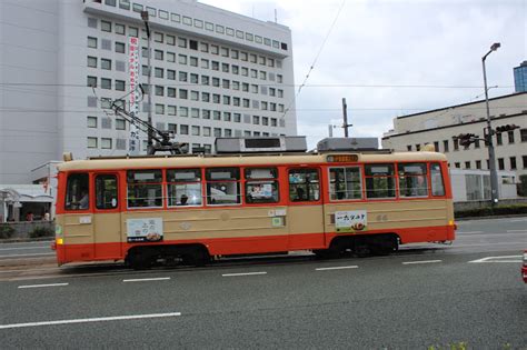 自転車探訪記 八股榎お袖大明神