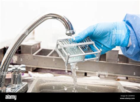 Scientist Preparing Slides With Paraffin Embedded Tissue Samples For