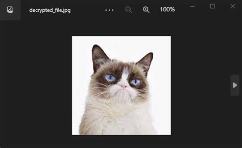 GitHub BartlomiejCzerwinski Data Encryption Standard Encrypts Messages By Using DES Cipher