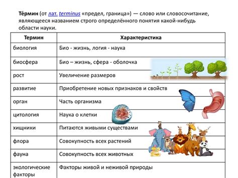 Биологические термины понятия символы Источники биологических знаний