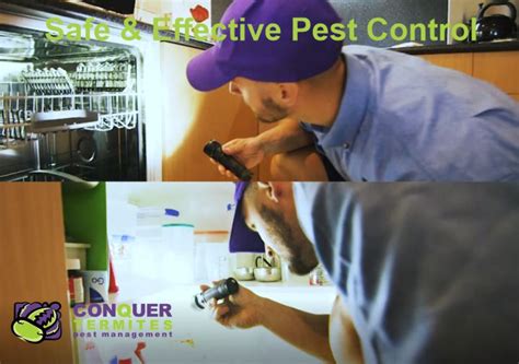 Pest Control Treatment Carina Brisbane Qld 4152 Conquer Termites