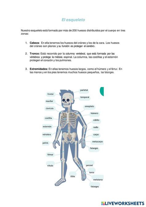 7356236 Repaso Conocimiento Del Medio Tema 3 JosÉ