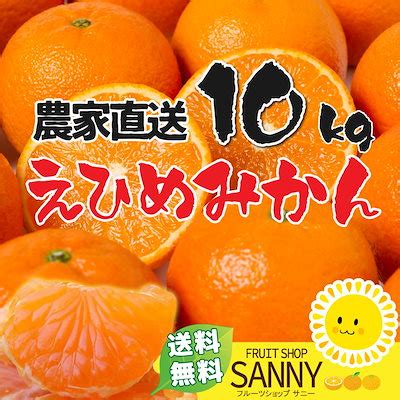 1 799円極早生 愛媛みかん 箱込み10kg 安いぞ激安特価ニュース速報