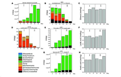 Kegg Expression Genes In Pyruvate Metabolism Associated With The