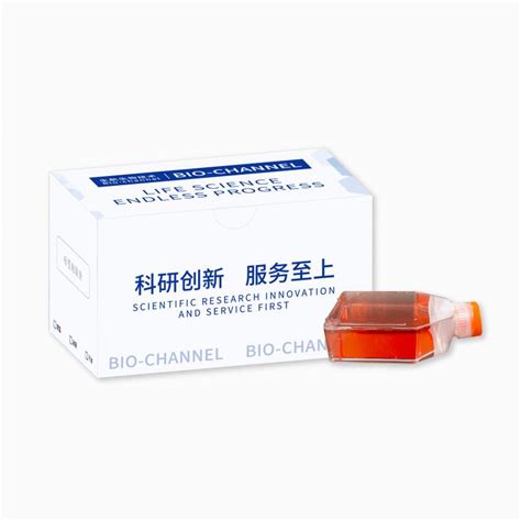 大鼠肺动脉平滑肌细胞 大鼠 原代细胞 南京森贝伽生物科技有限公司