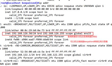 lvs keepalived 高可用群集实战部署（更新优化版） keepalived lvs csdn博客