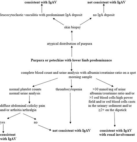 Diagnostic And Management Strategies Of Iga Vasculitis Phmt