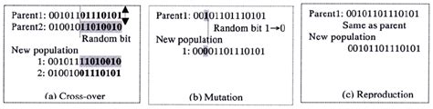Genetic Operations A Crossover B Mutation And C Reproduction