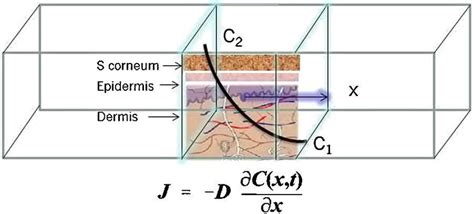 Description Of Flux Across The Skin From A Transdermal Patch Where J Is