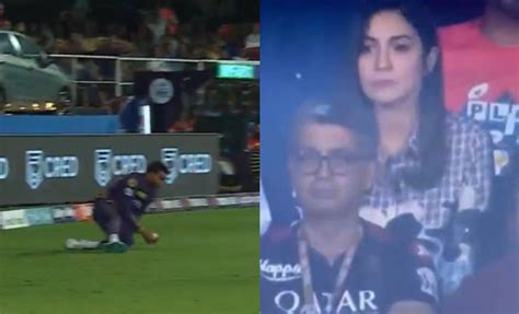 IPL 2023 Watch Anushka Sharma Appears Dejected As Venkatesh Iyer