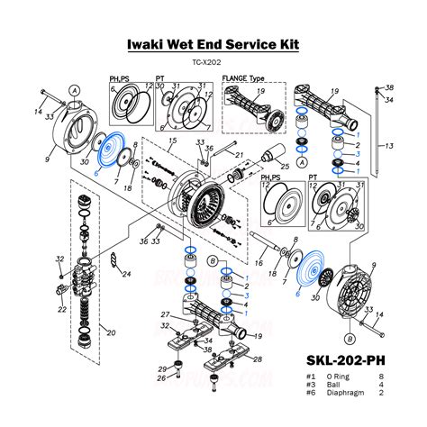 Iwaki Gfpp Tc X202 Hytrel Diaphragm Service Kit Skl 202 Ph Bropumps