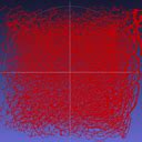 Collision Detection Between Neurons And Blood Vessels CGL At Tel Aviv University Portal