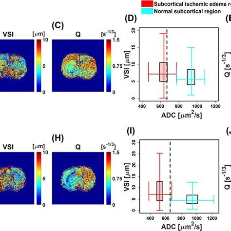 Microvascular Remodeling Of Two Tmcao Rat Brains Adc Maps A And F Download Scientific